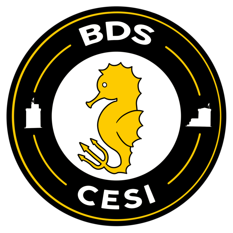 Une équipe à la tête du BDS 2024/2025